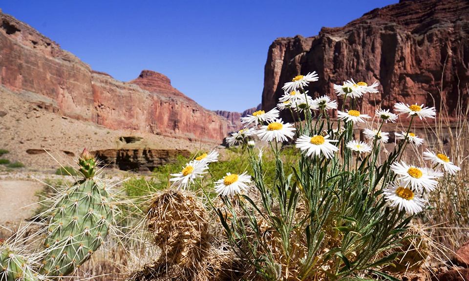 Mejor época del año para viajar a Arizona | WeTravelUSA